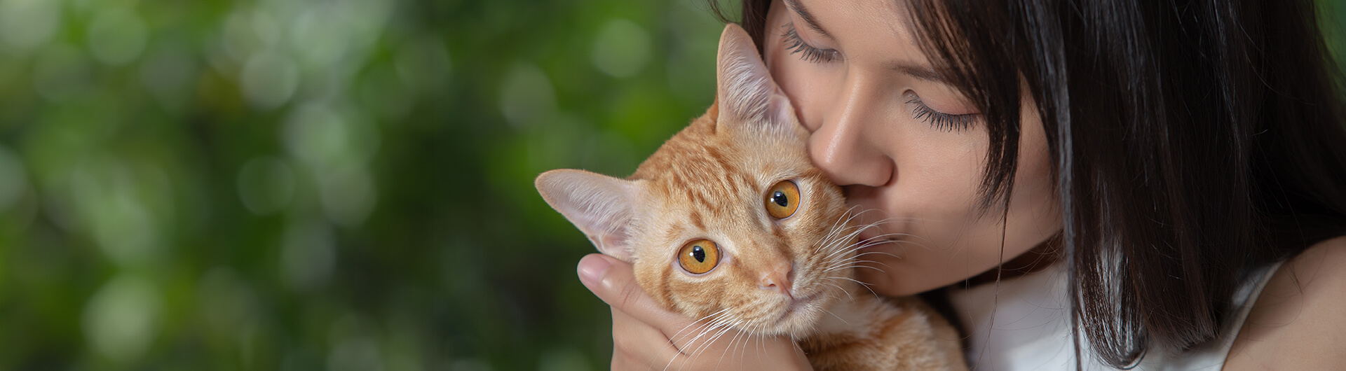 Les chats aiment-ils les bisous ? | SHEBA® FR